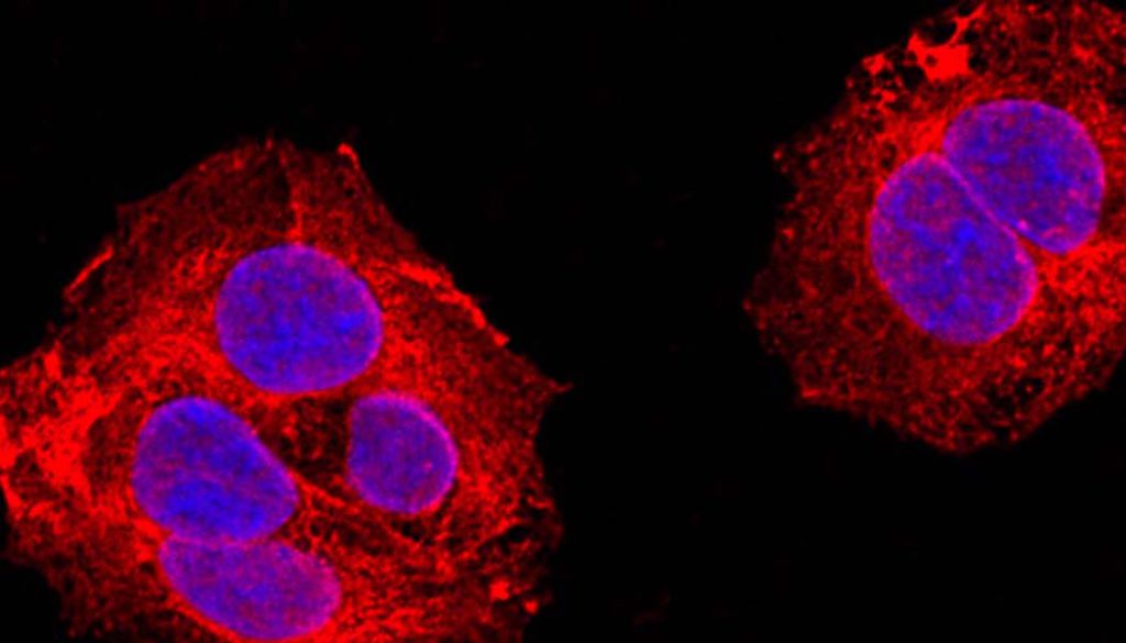 Better Understanding of Enzyme Mutation Process Provides Hope for New ...