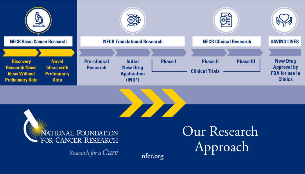 NFCR Basic Cancer Research - NFCR