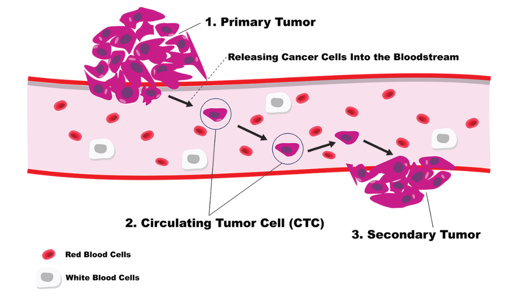 Expanding Powerful Detection Technology with CTC Research