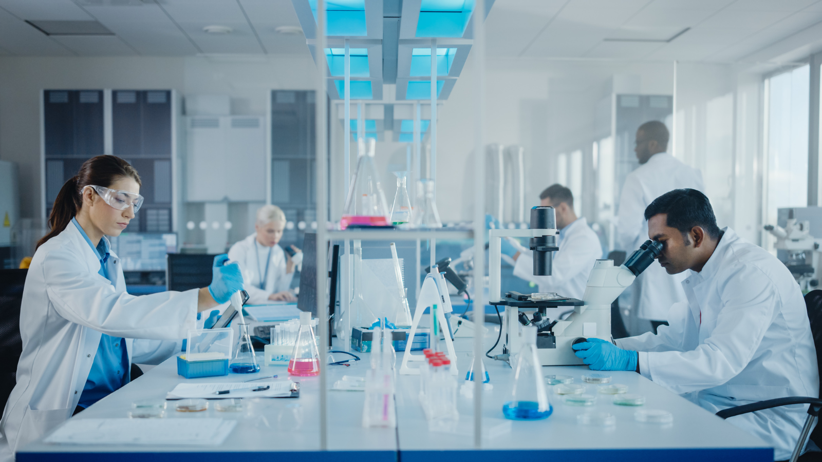 National Foundation for Cancer Research (NFCR)