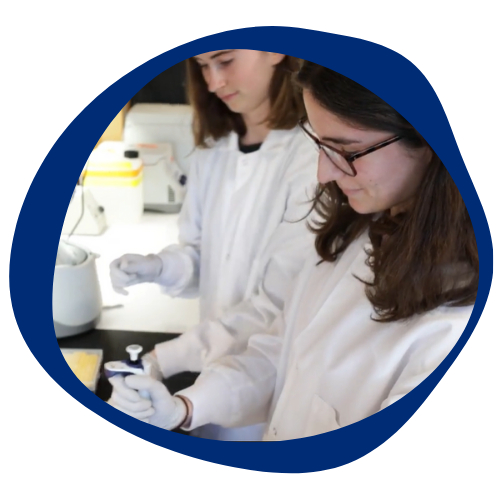 College Internship Program - NFCR