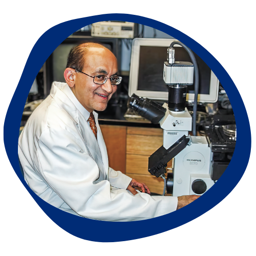 College Internship Program - NFCR