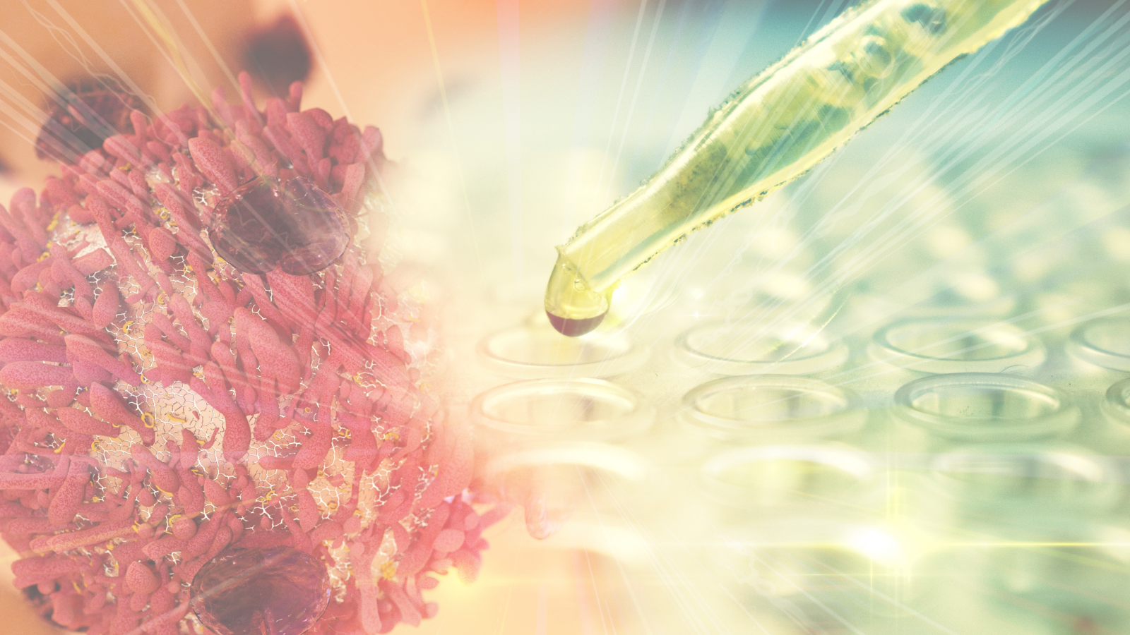 National Foundation for Cancer Research (NFCR): We Make Cures Possible