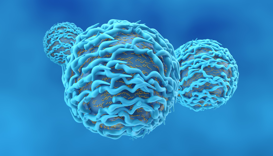 Cancer Immunotherapy Nfcr Impacts