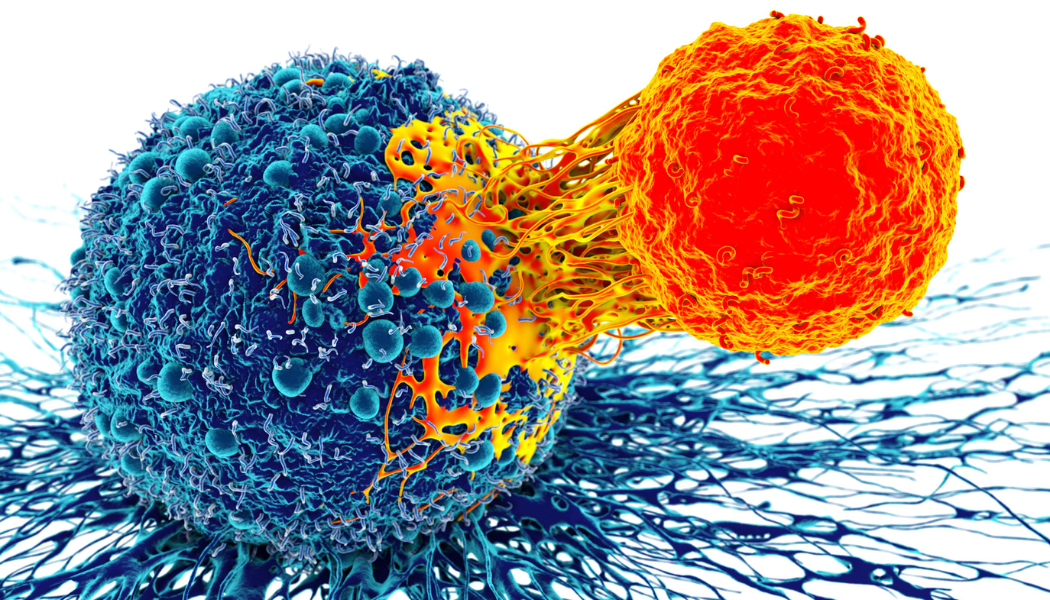 Cancer Metastasis: How NFCR is Fighting Metastasis