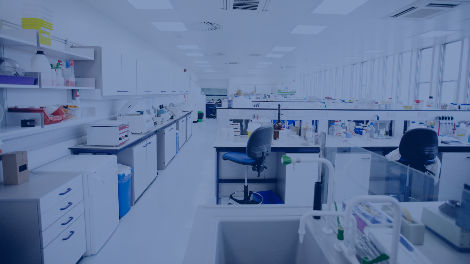 National Foundation for Cancer Research (NFCR)